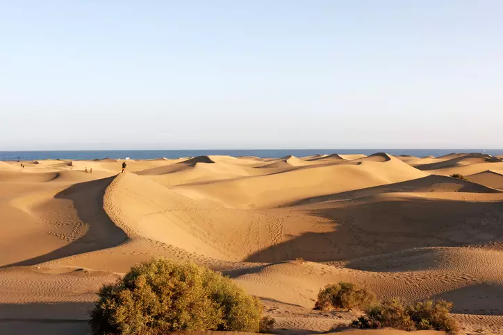 dune di maspalomas