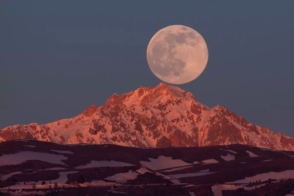 volmaan Januarie 2022