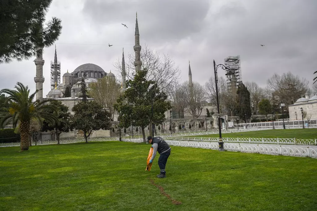 Bisadaha Street Istanbul Turkiga xayawaanka