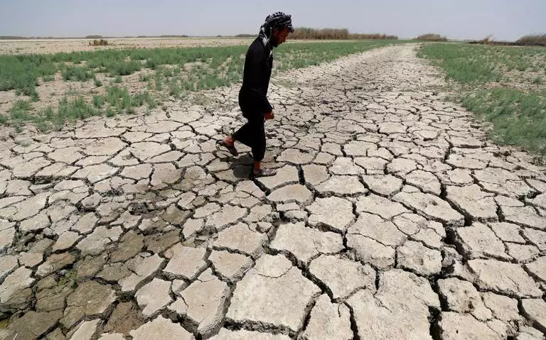 Irak'taki Cennet Bahçesi, yüzyıllardır görülen en şiddetli kuraklıkla karşı karşıya 10095_1