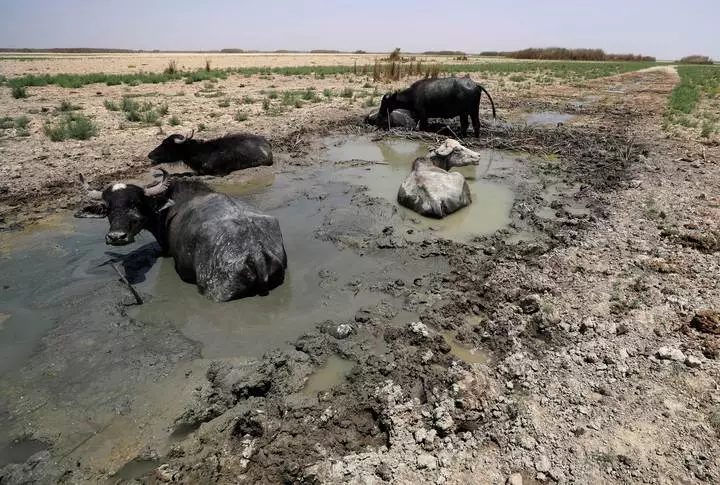 Tuin van Eden Irak