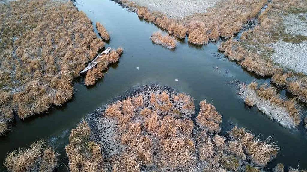 Rajská záhrada v Iraku