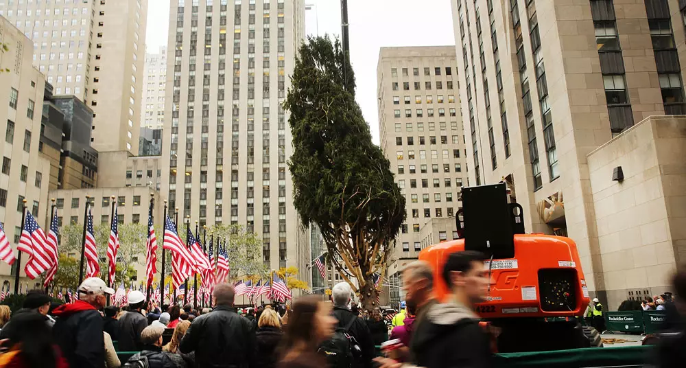 Jul på Rockefeller Center 10265_2