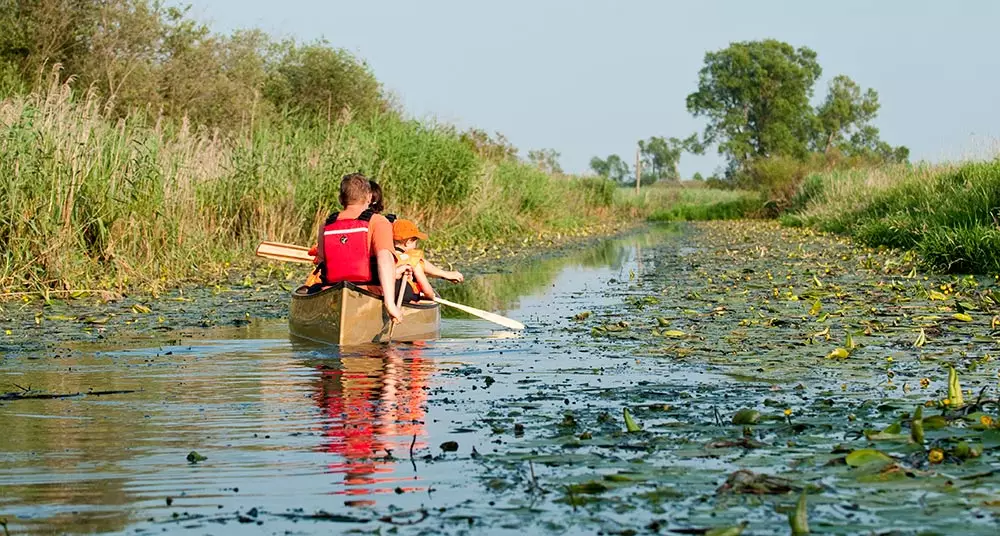 ஜெர்மனியின் ஏழு பாதுகாக்கப்பட்ட (மற்றும் தவிர்க்க முடியாத) பகுதிகள் 10405_4