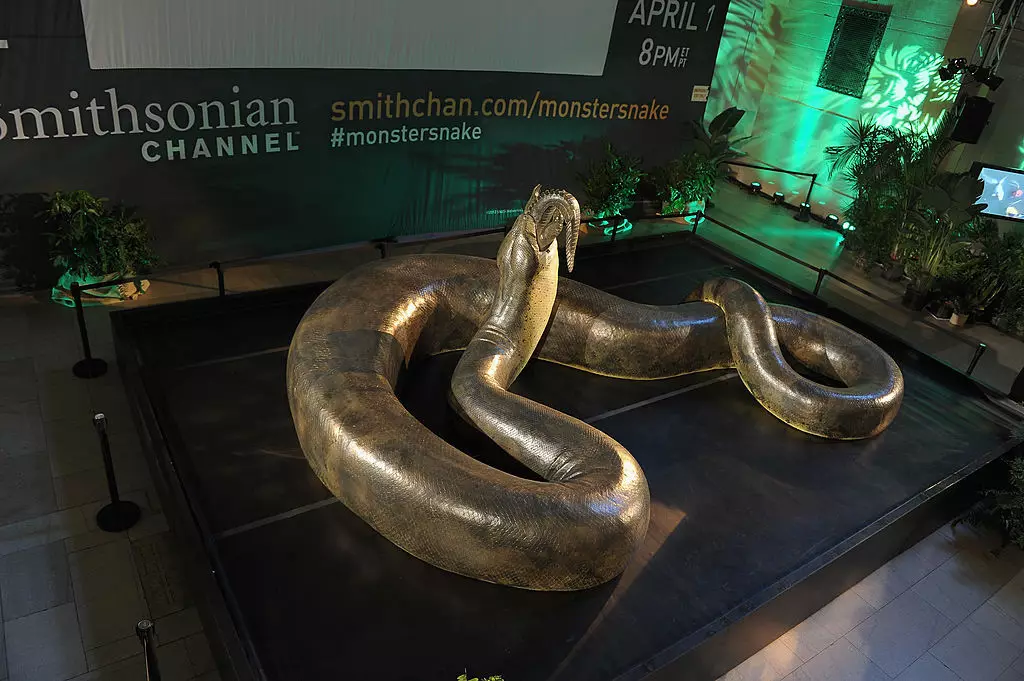 ullakan ýylan titanoboa