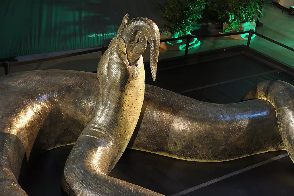 ullakan ýylan titanoboa