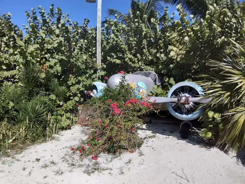 Castaway Cay Дональд Диснейн хувийн арал