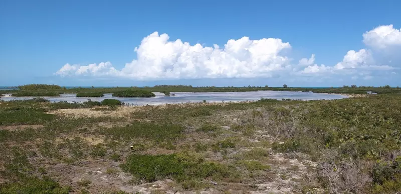 Castaway Cay 迪士尼的私人島嶼