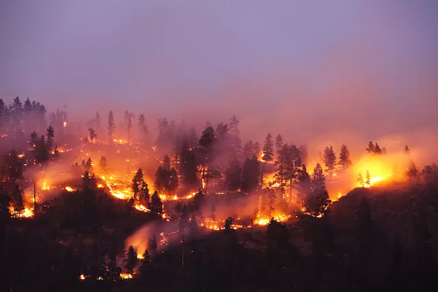 zmiany klimatyczne i globalne ocieplenie