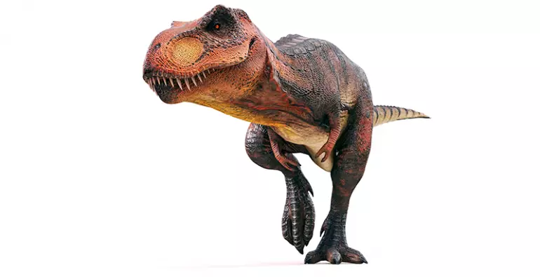 tyrannosaurus රෙක්ස්