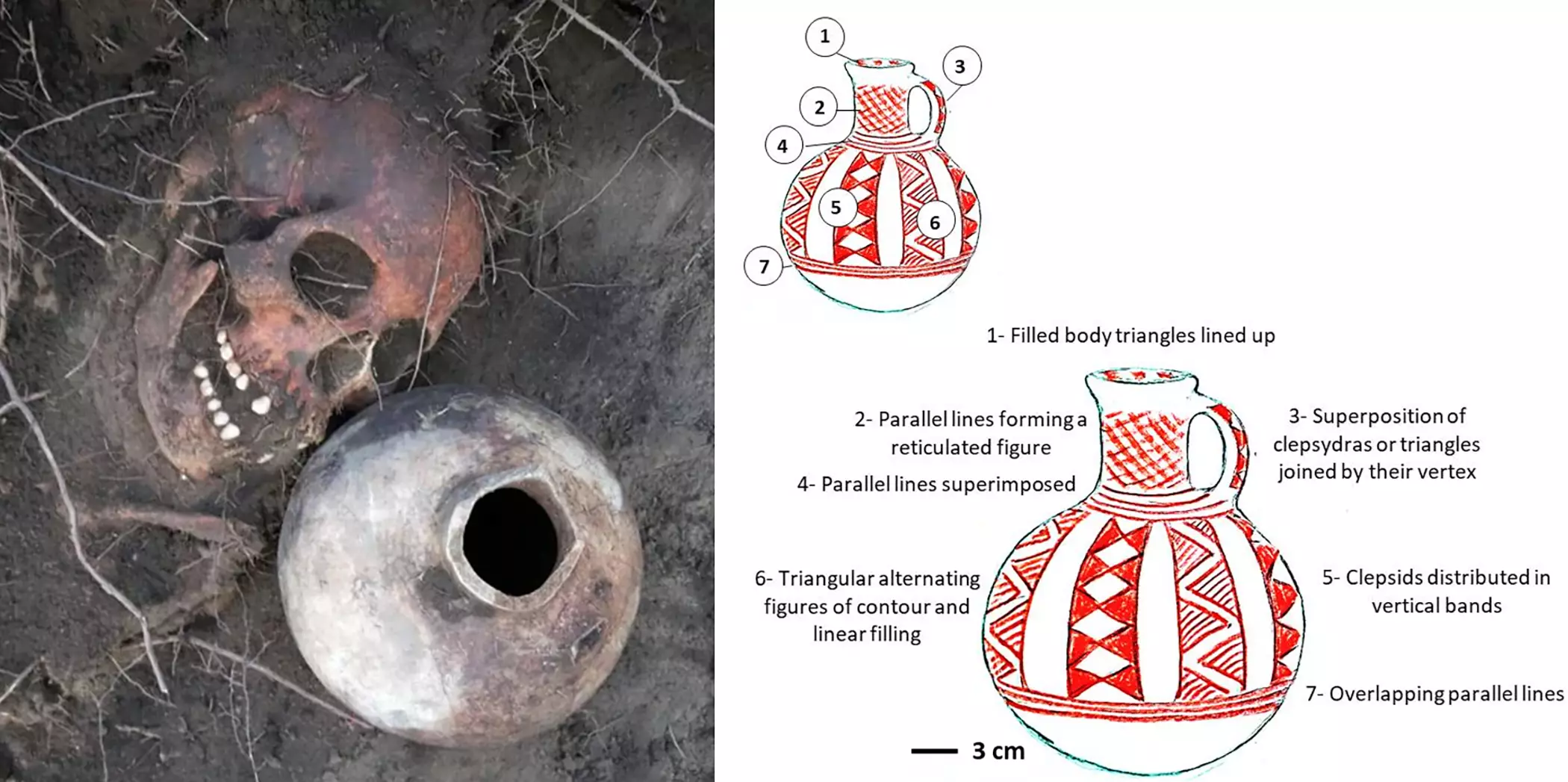 Eles encontram uma canoa mapuche de 880 anos atrás que 'carregava almas' 10734_4