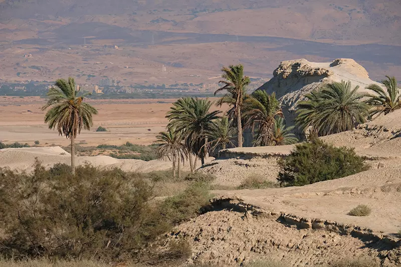 desyerto sa Israel