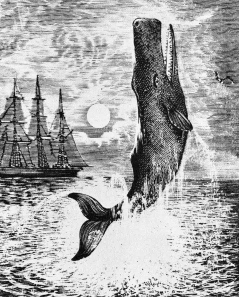 moby dick roman van herman melville