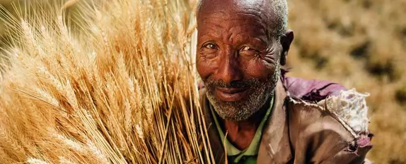 Fa'aaliga National Geographic i le Aai o Mekisiko