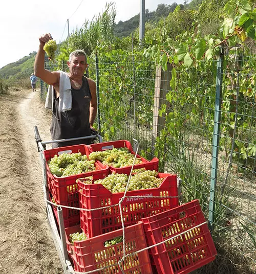 Ischia: پیدل سفر اور ساحل سمندر 11040_2