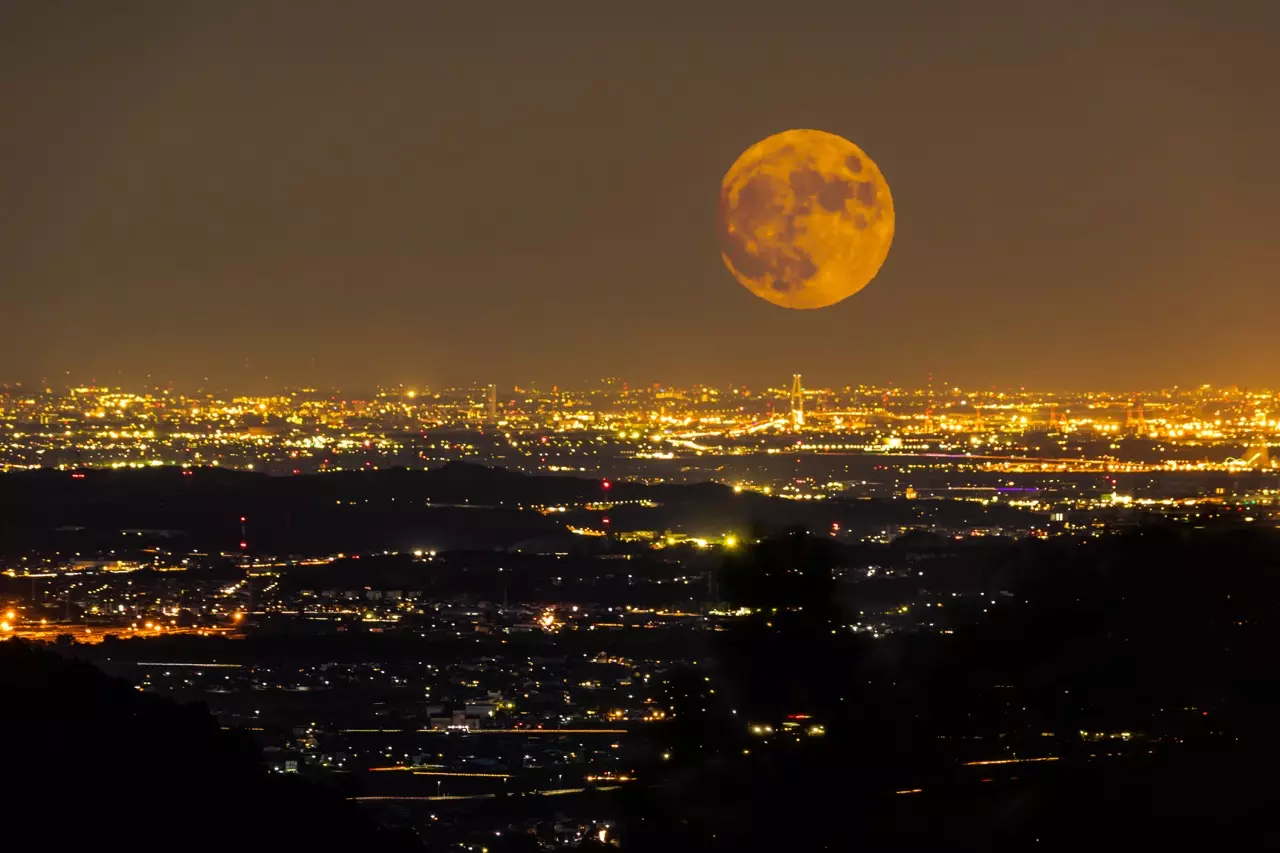 Luna de porumb în Japonia / Getty Images