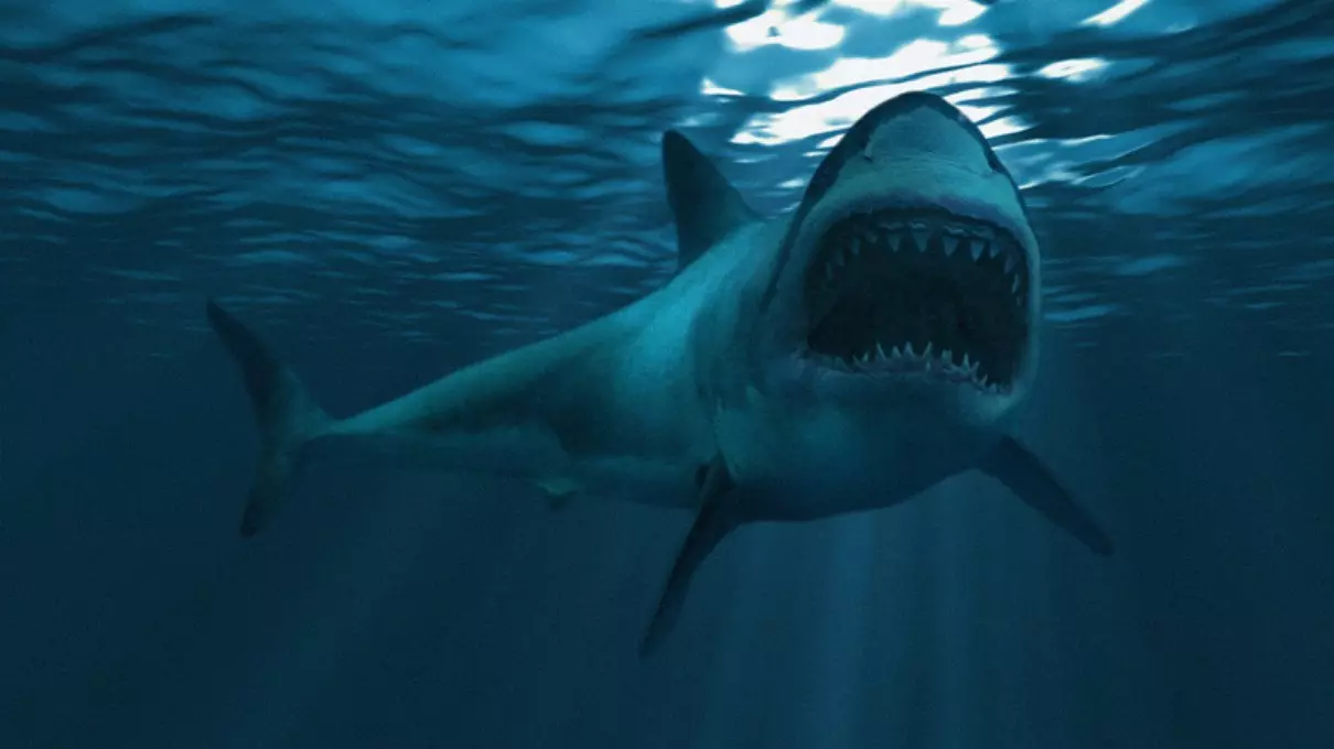 Megalodon (esihistoriallinen hai)