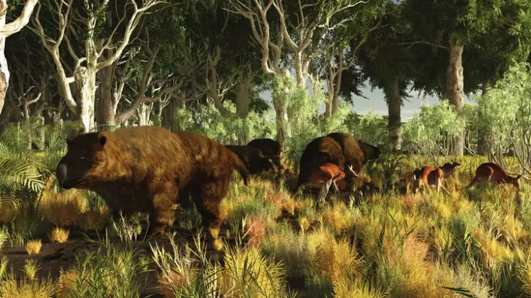 Australische megafauna