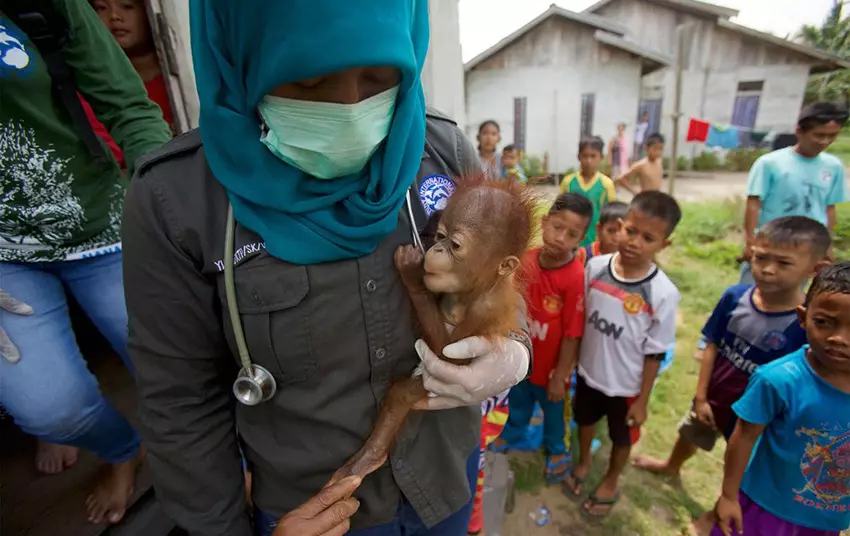 The winners by World Press Photo 1157_16