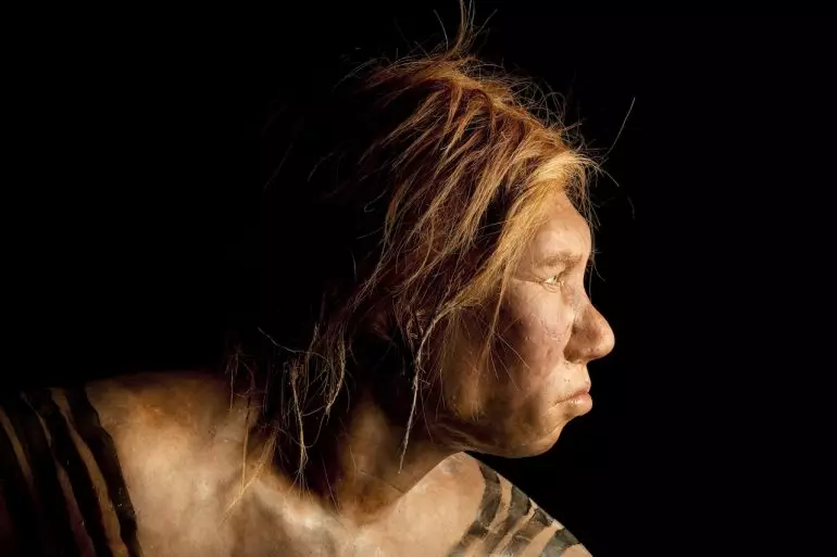 Neandertálske neuróny