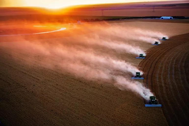 Galeria | Producció agrícola al món