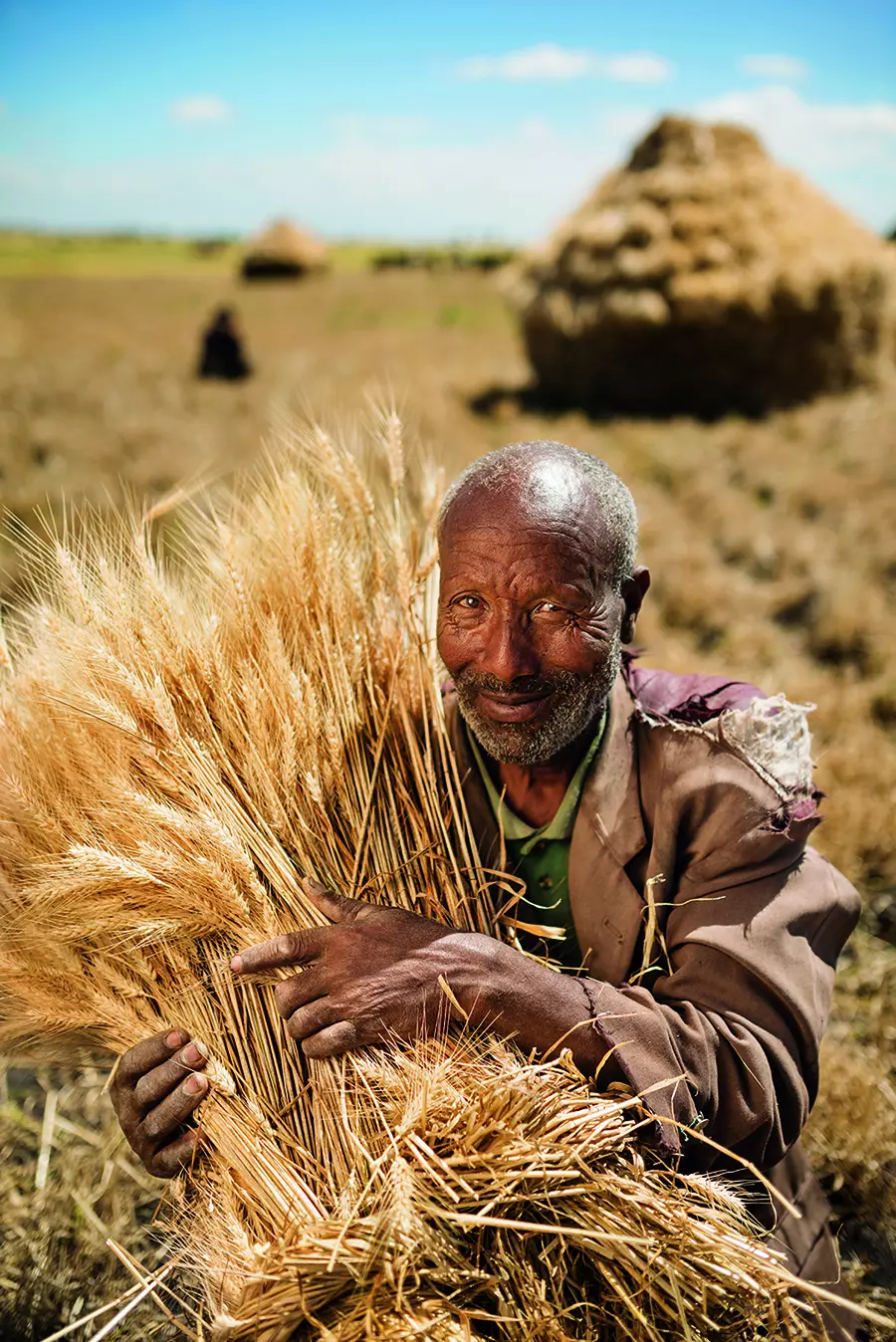 Galeria | Producció agrícola al món 11798_6