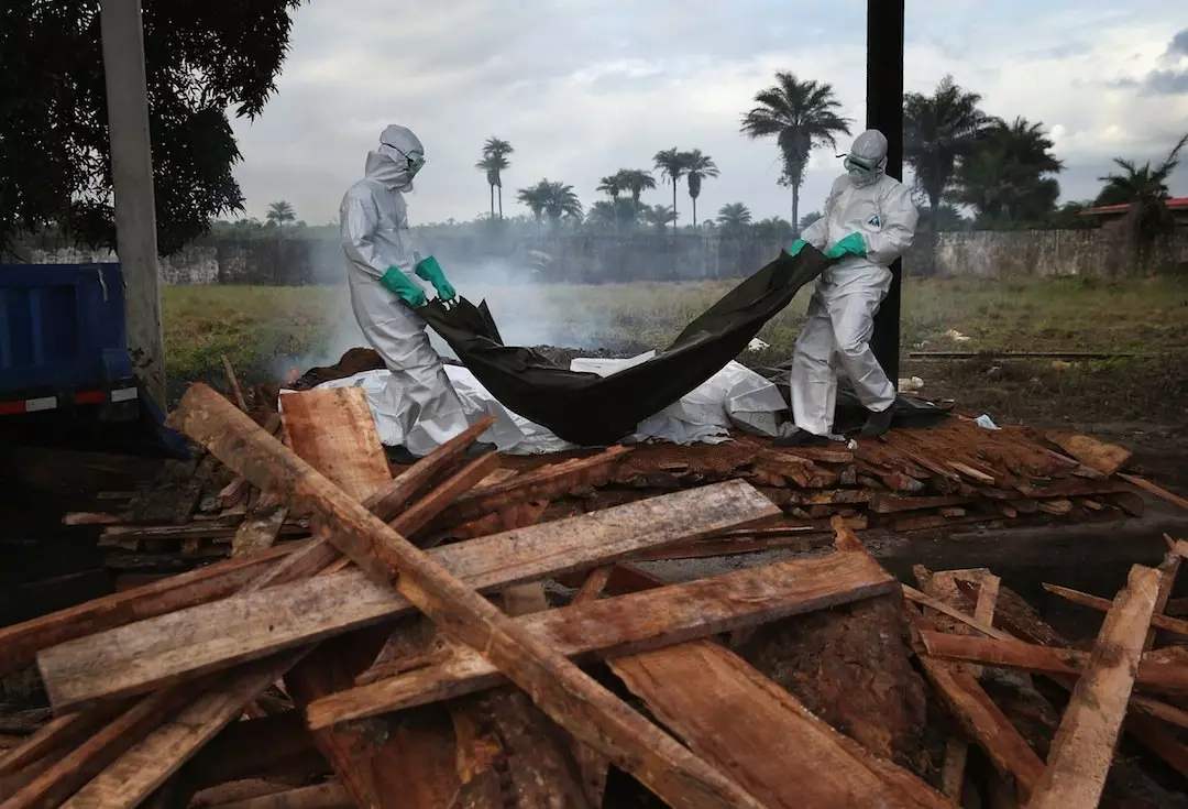 Sangene til ebola