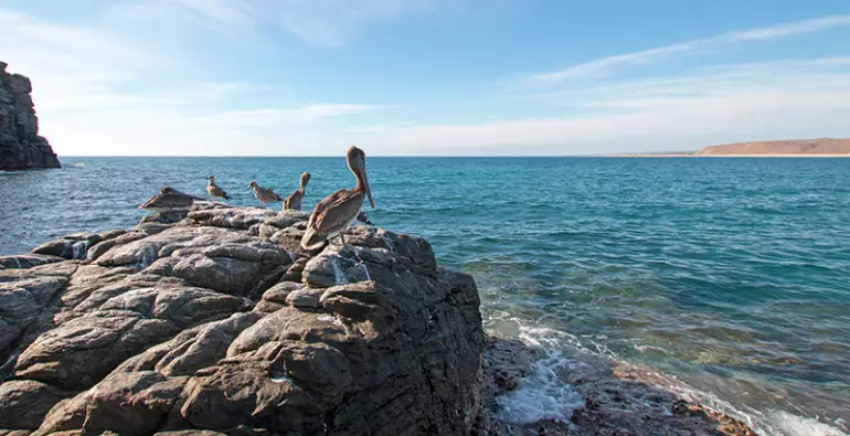 Pláž Cerritos Baja California Sur