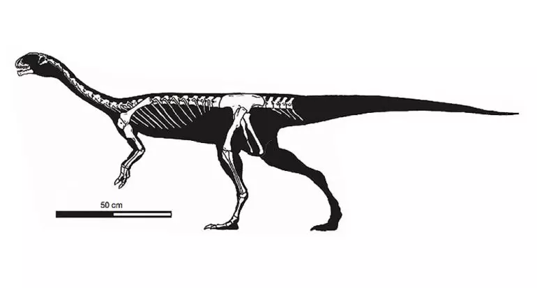 Yeni dinozavr: Çilezavr