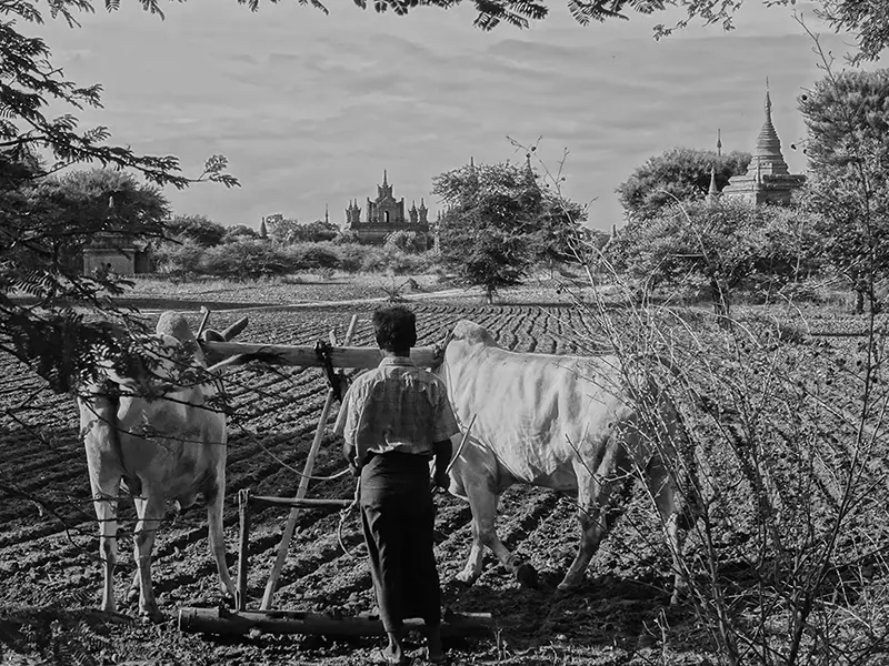 ଗ୍ୟାଲେରୀ | ପାଠକଙ୍କ ଫଟୋ ମଧ୍ୟରୁ ସର୍ବୋତ୍ତମ - ସେପ୍ଟେମ୍ବର | 12455_9