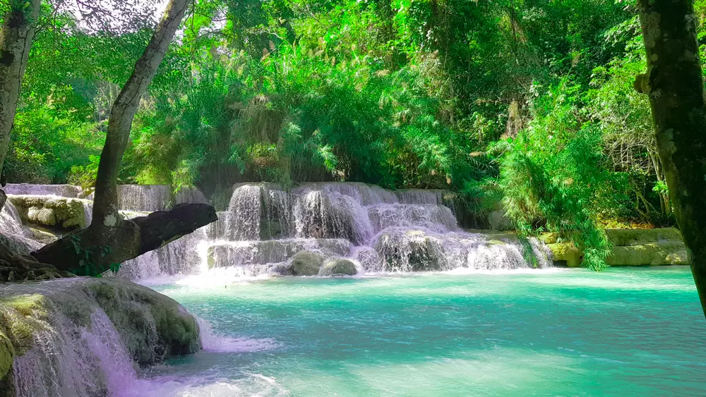 Air terjun Tat Kuang Luang Prabang