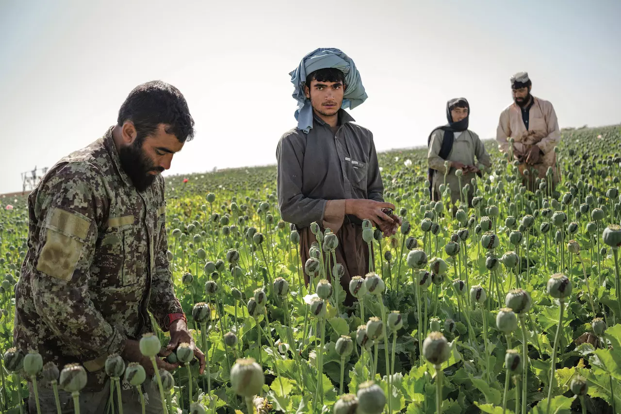 Hva er det å være Taliban og hva er deres religion? 126_7