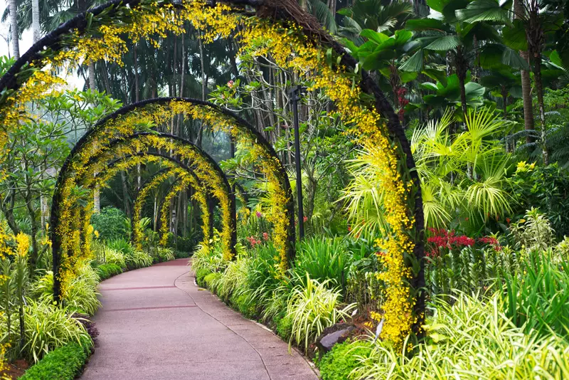 ogród botaniczny singapur