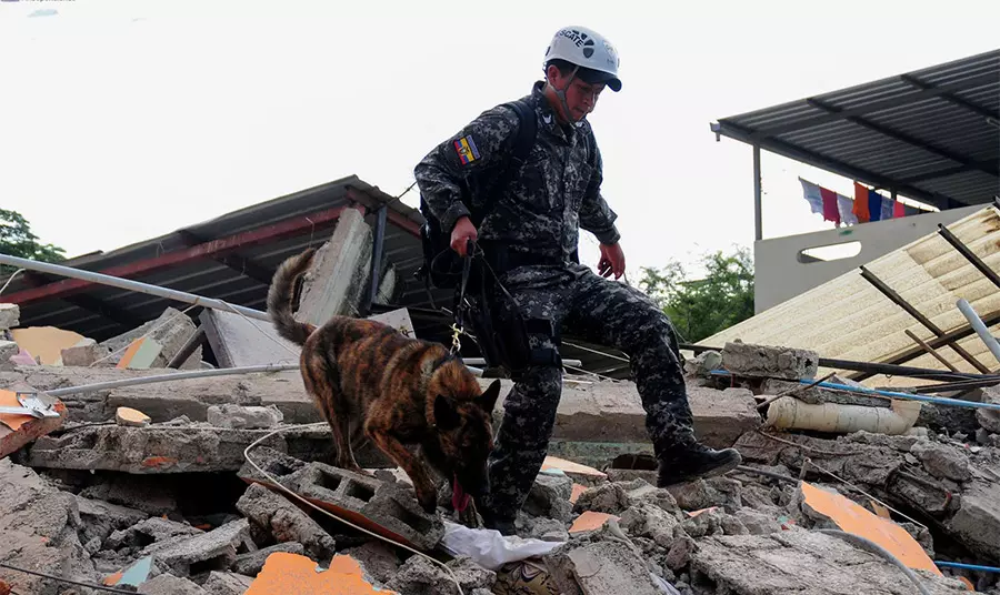 La tragedia in Ecuador 1277_5