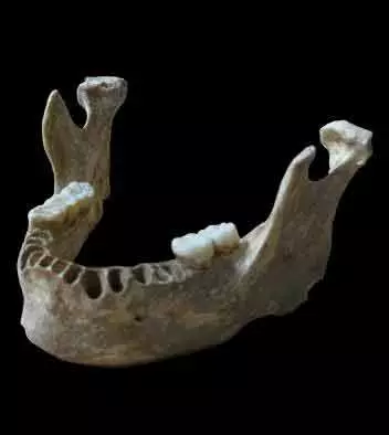 Wong sing duwe mbah buyut Neanderthal 12862_2