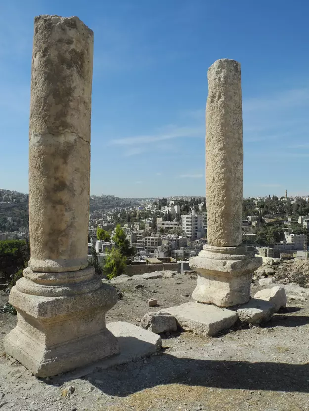 Prendre un café avec les Bédouins de Jordanie 12873_6