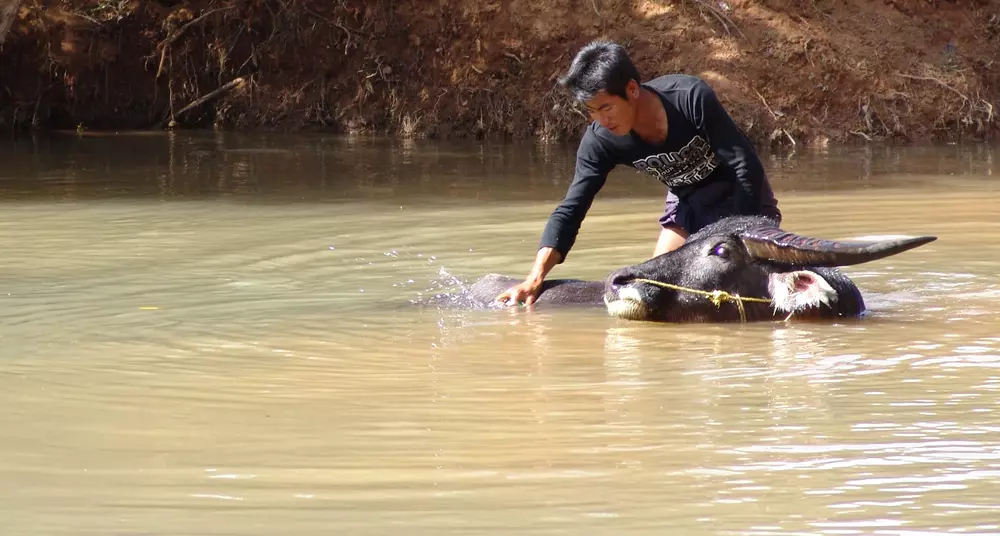 Myanmar'ın yüzen bahçelerine yürüyüş 12889_6