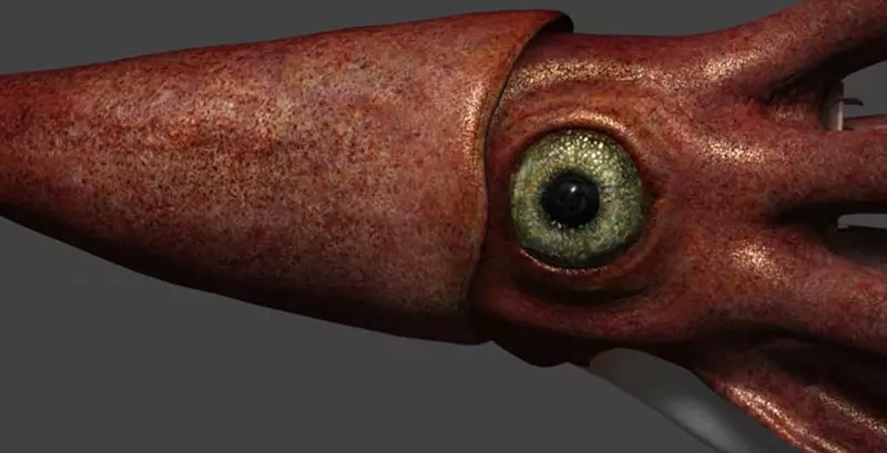 giant squid eyes