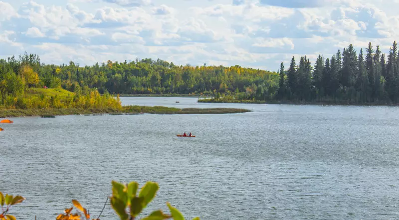 Elk Island National Park Alberta Edmonton