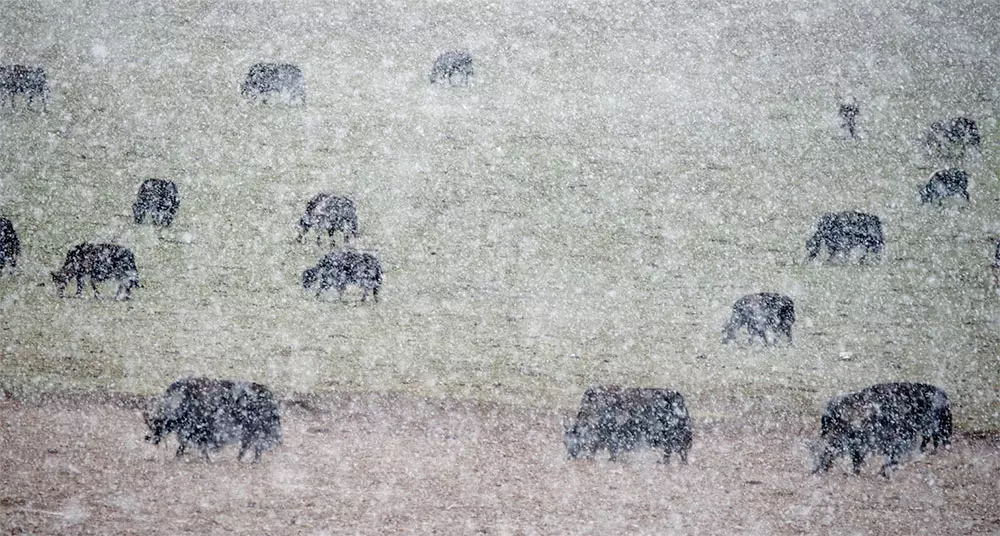 Hava aşırı derecede. 13 muhteşem fotoğraf 13000_13