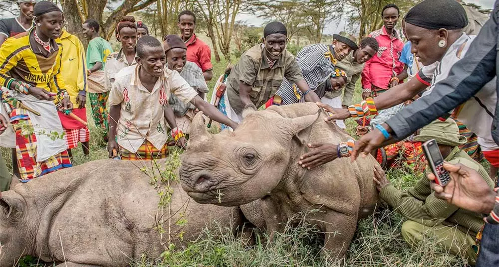 Ang mga itim na rhino ay bumalik sa tribong Africa 13320_3