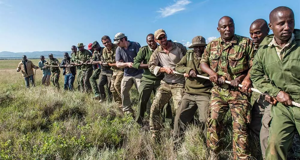 Spitzmaulnashörner kehren in das Stammes-Afrika zurück 13320_8