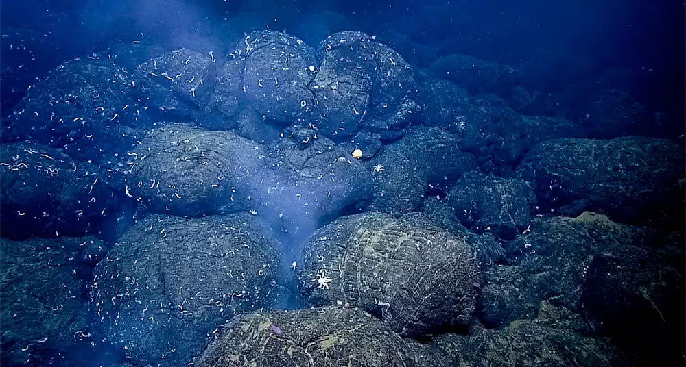 Exotesch Déieren a Landschaften vun de Galapagos 13602_5