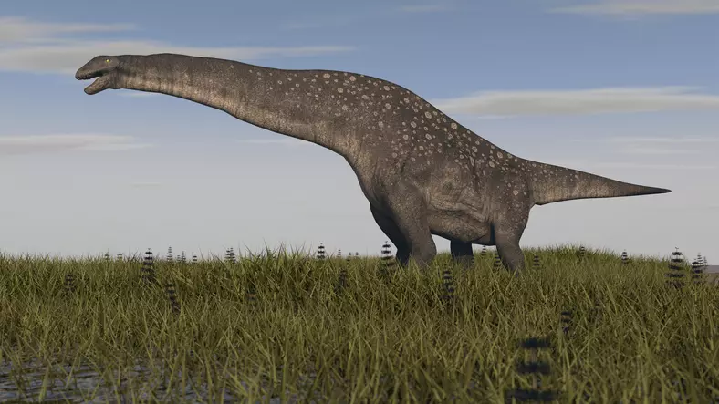 təbaşir dövründə otların arasında gəzən titanosaur