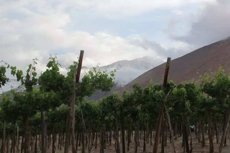 MOTORFIETSBLOG | Vorst in de Elqui-vallei