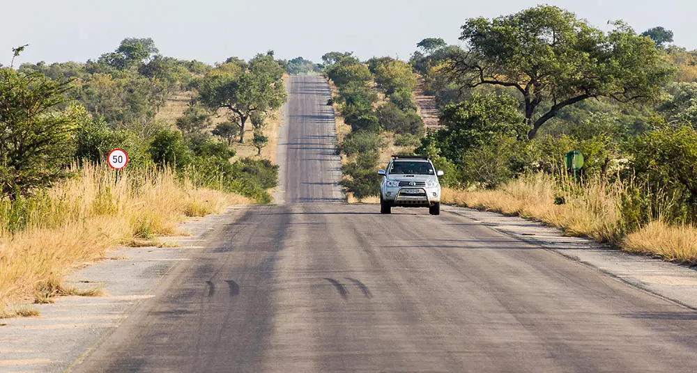 Eine Safari im südafrikanischen Krüger Nationalpark 1414_2