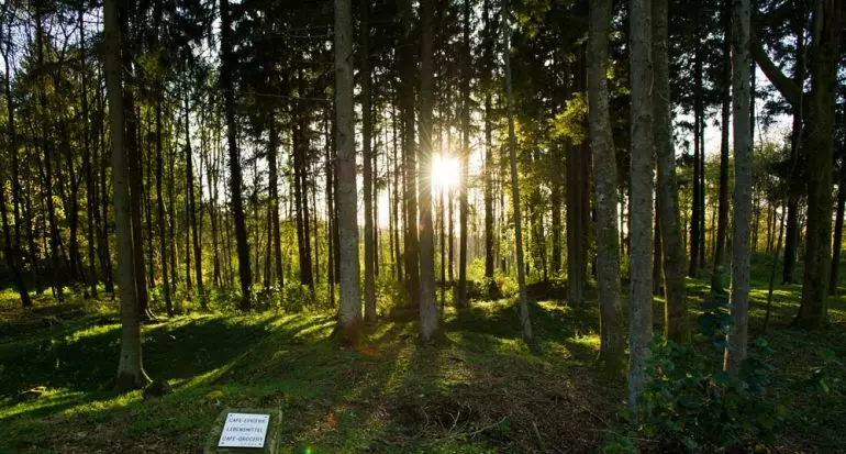 Po stopách bitky pri Verdune