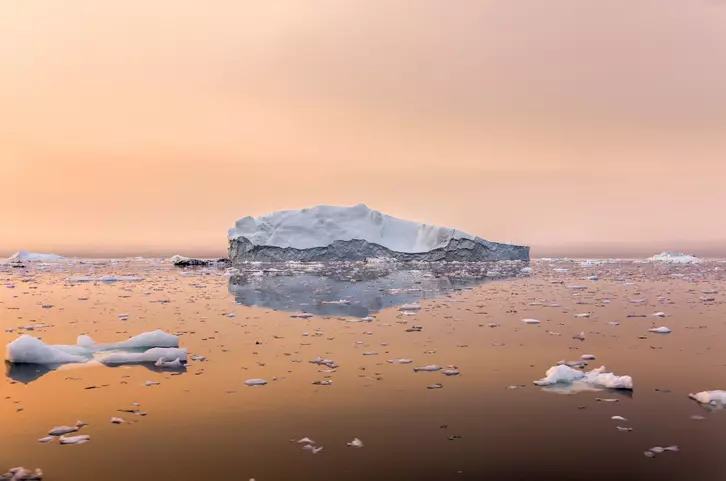 année la plus chaude 2020