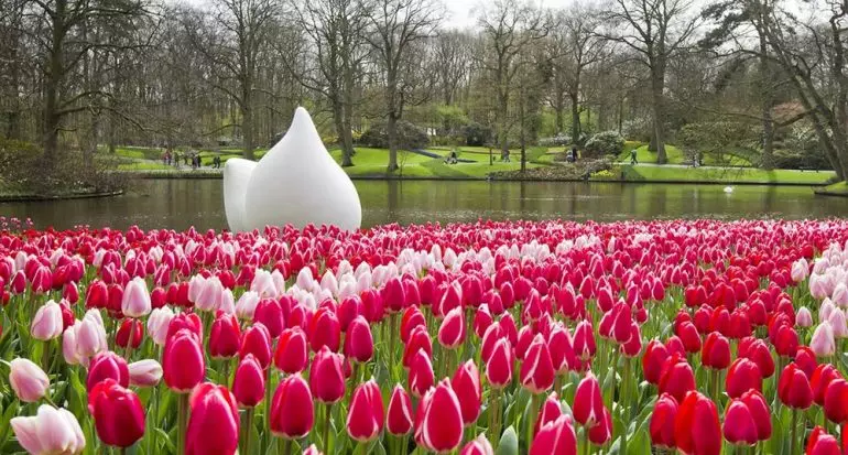 Հոլանդական ոճով գարուն Keukenhof-ում