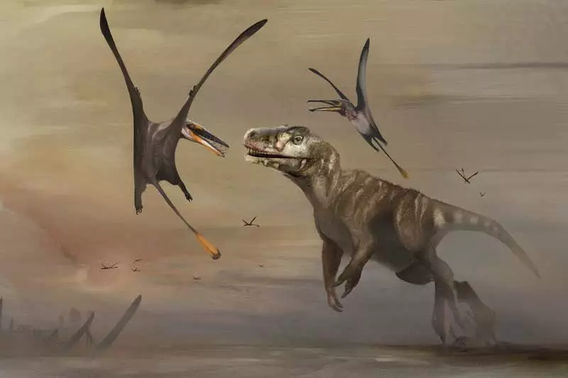 hóa thạch pterosaur